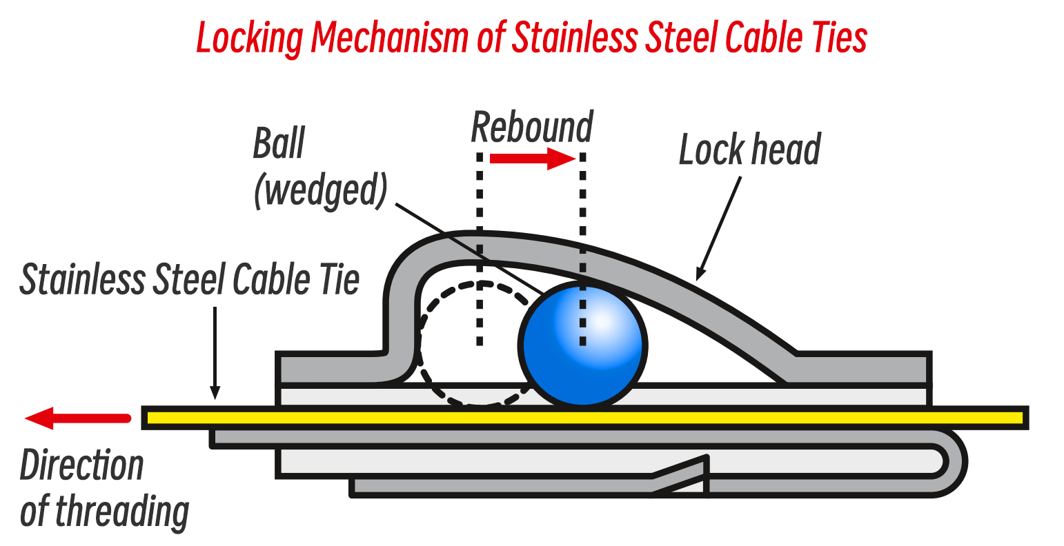 Explore the Locking Mechanism of Stainless Steel Cable Ties - Cable ...